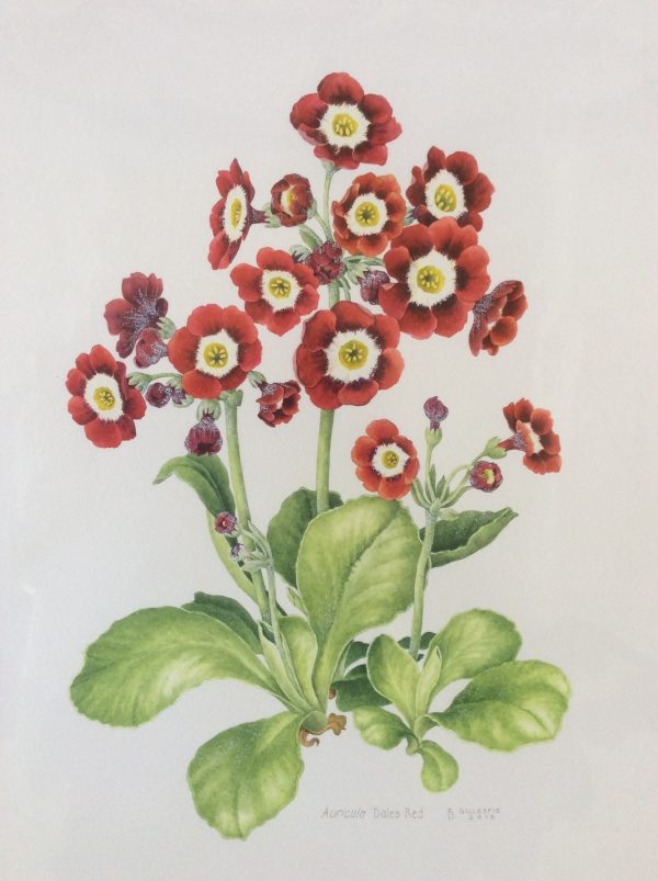 Great activities to enjoy in the garden