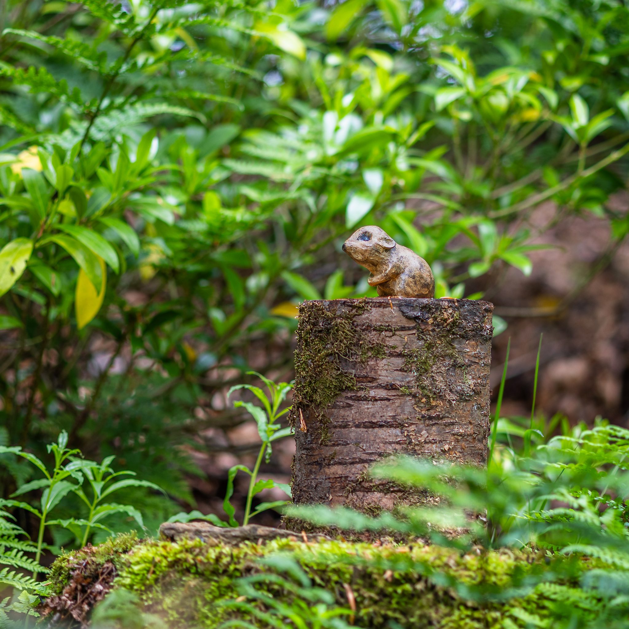 Great activities to enjoy together in the garden